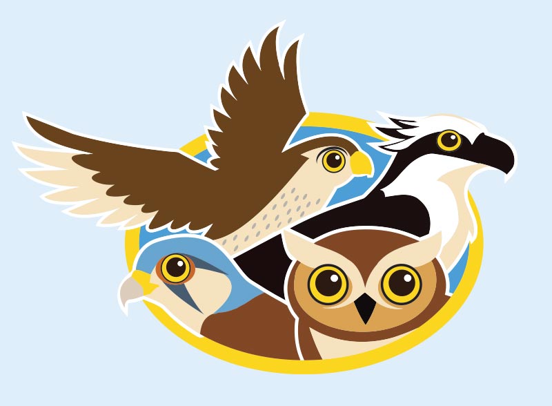 What is FOAS? - Friends of Avening School